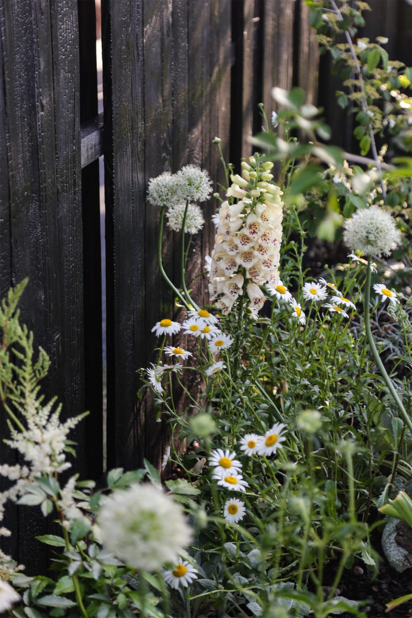 Big Fish工作室办公空间 / 大鱼景观设计 – mooool木藕设计网