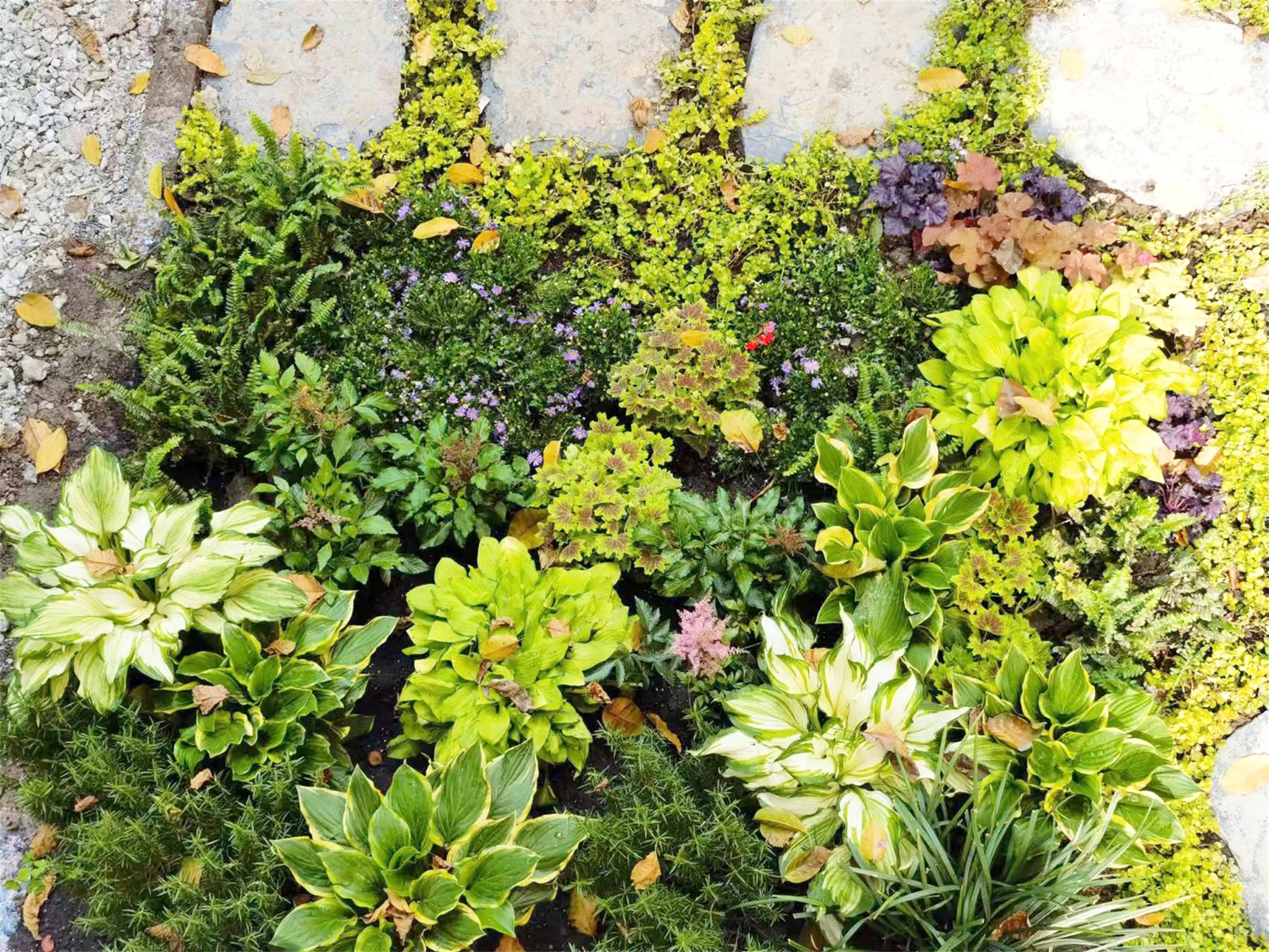 “时光不弃”社区花园 / “空间之间”工作室 – mooool木藕设计网