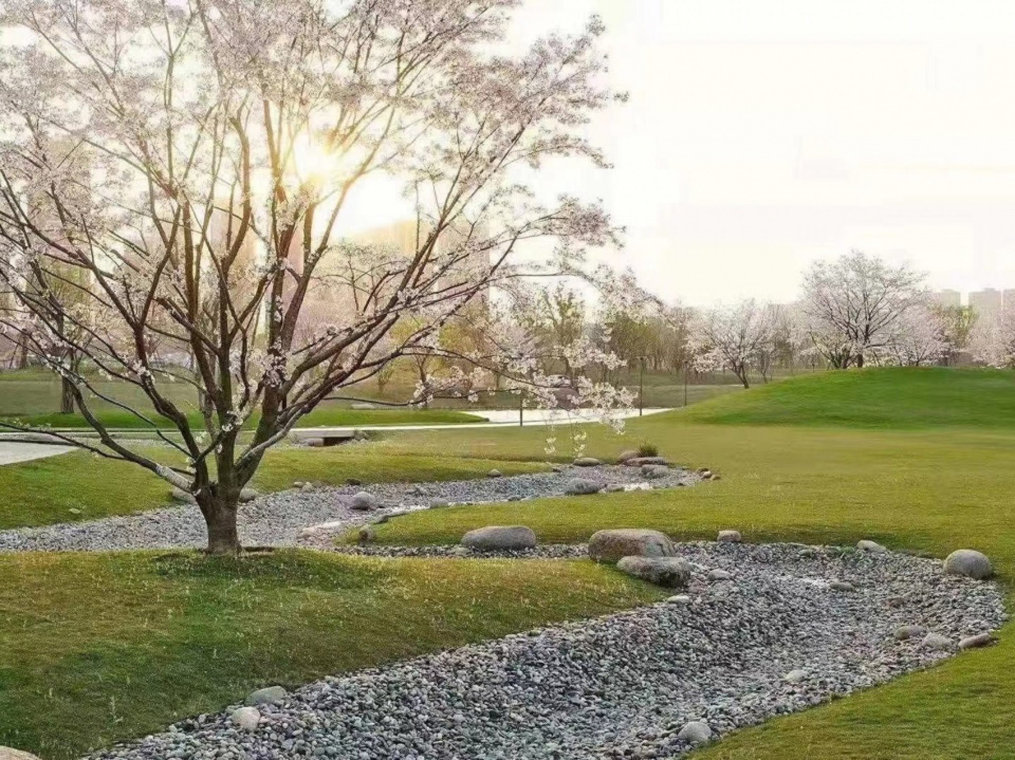 杭州体育公园总体规划：以116英亩的运动公园，重塑杭州城市与生态未来 / Archi-Tectonics事务所 – mooool木藕设计网