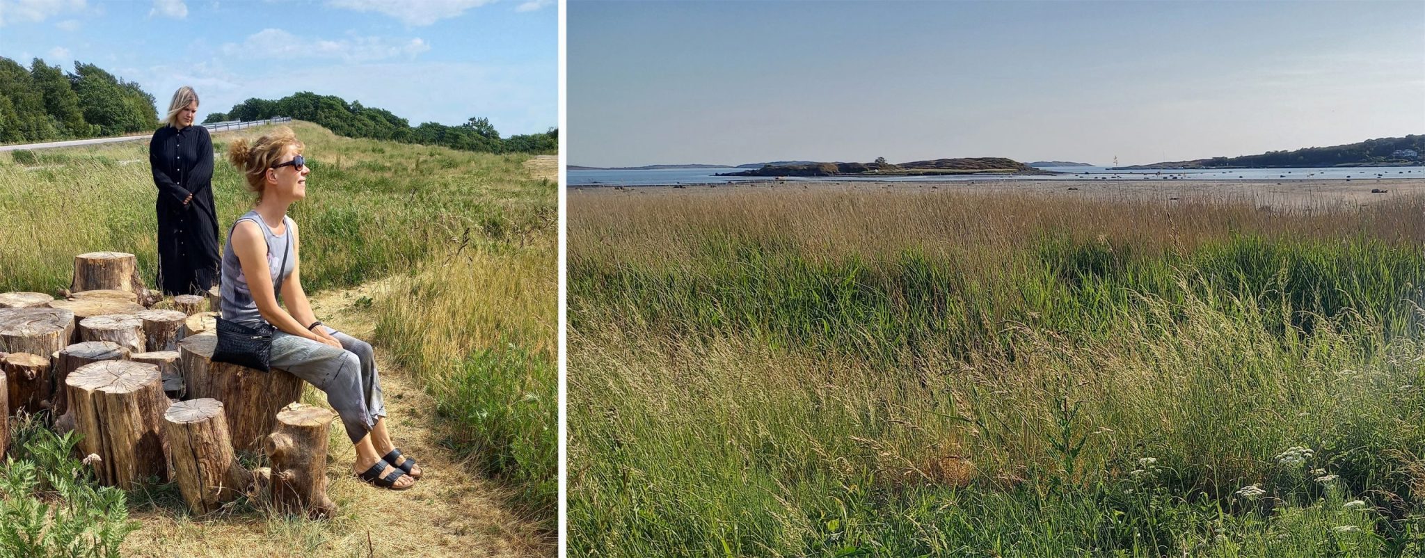 自然的印记 / x-studio – mooool木藕设计网