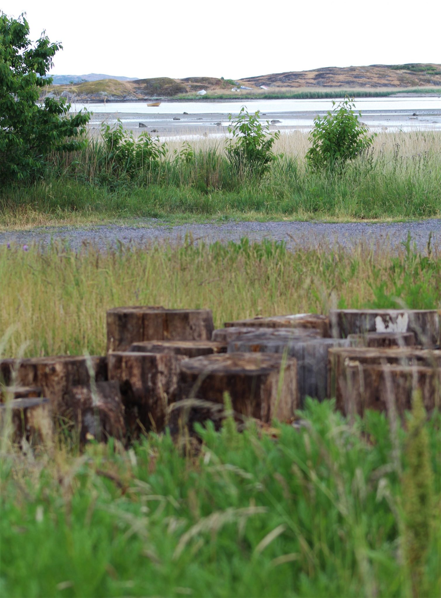 自然的印记 / x-studio – mooool木藕设计网