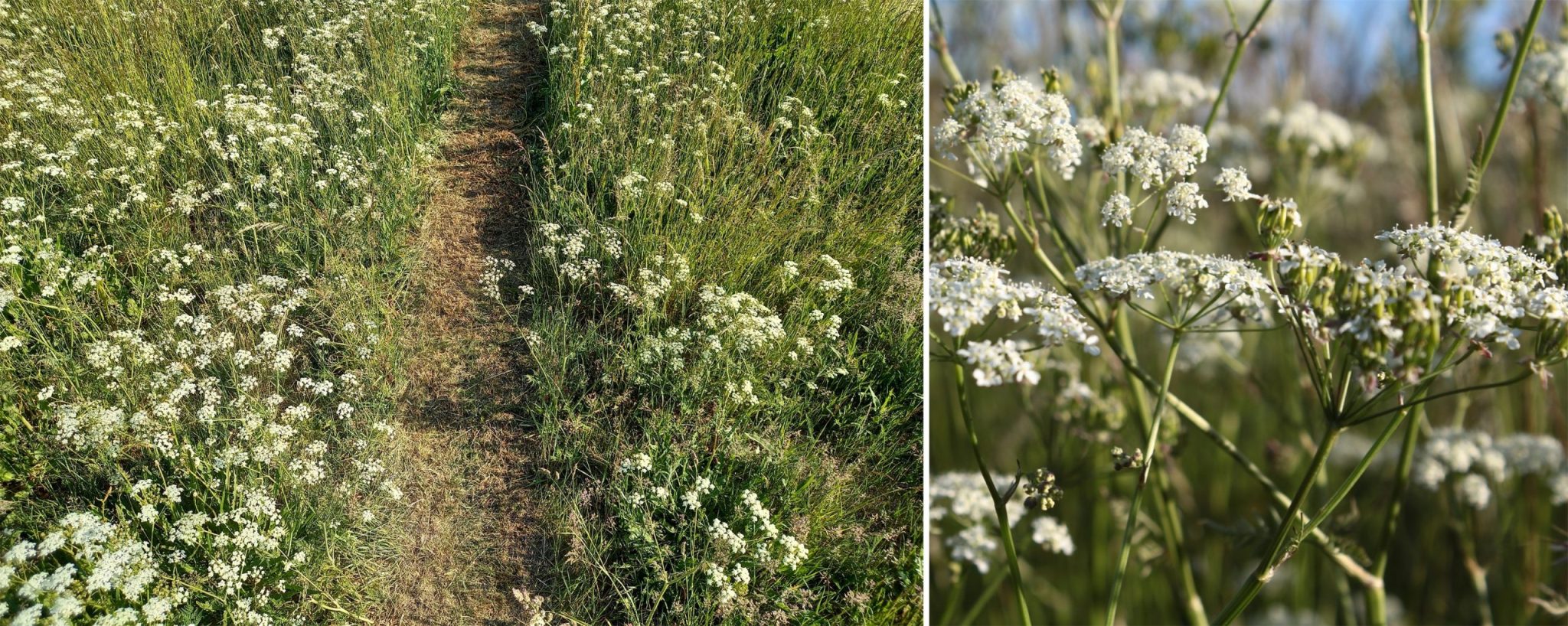 自然的印记 / x-studio – mooool木藕设计网