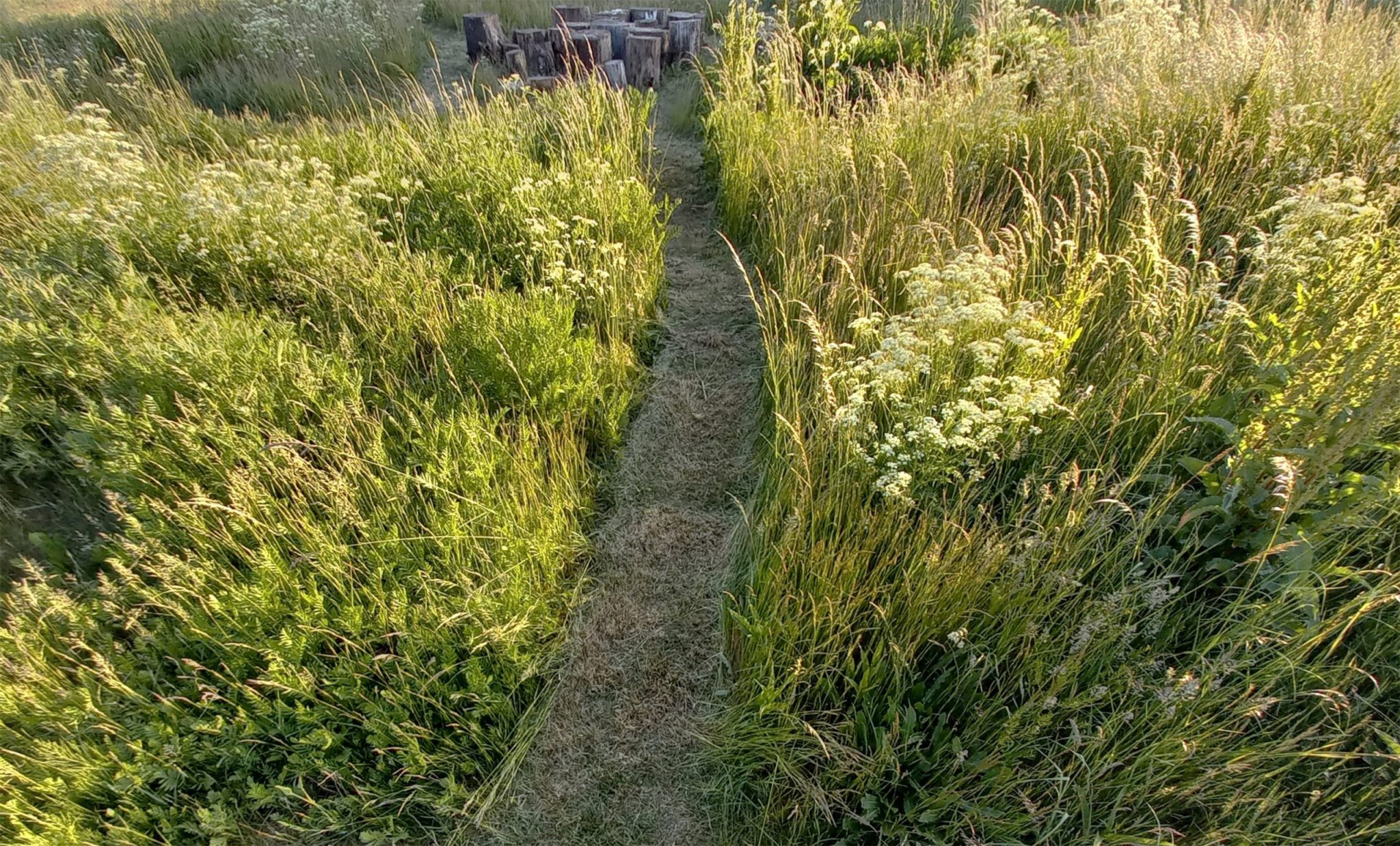 自然的印记 / x-studio – mooool木藕设计网