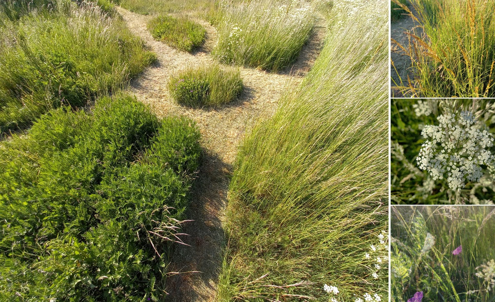 自然的印记 / x-studio – mooool木藕设计网