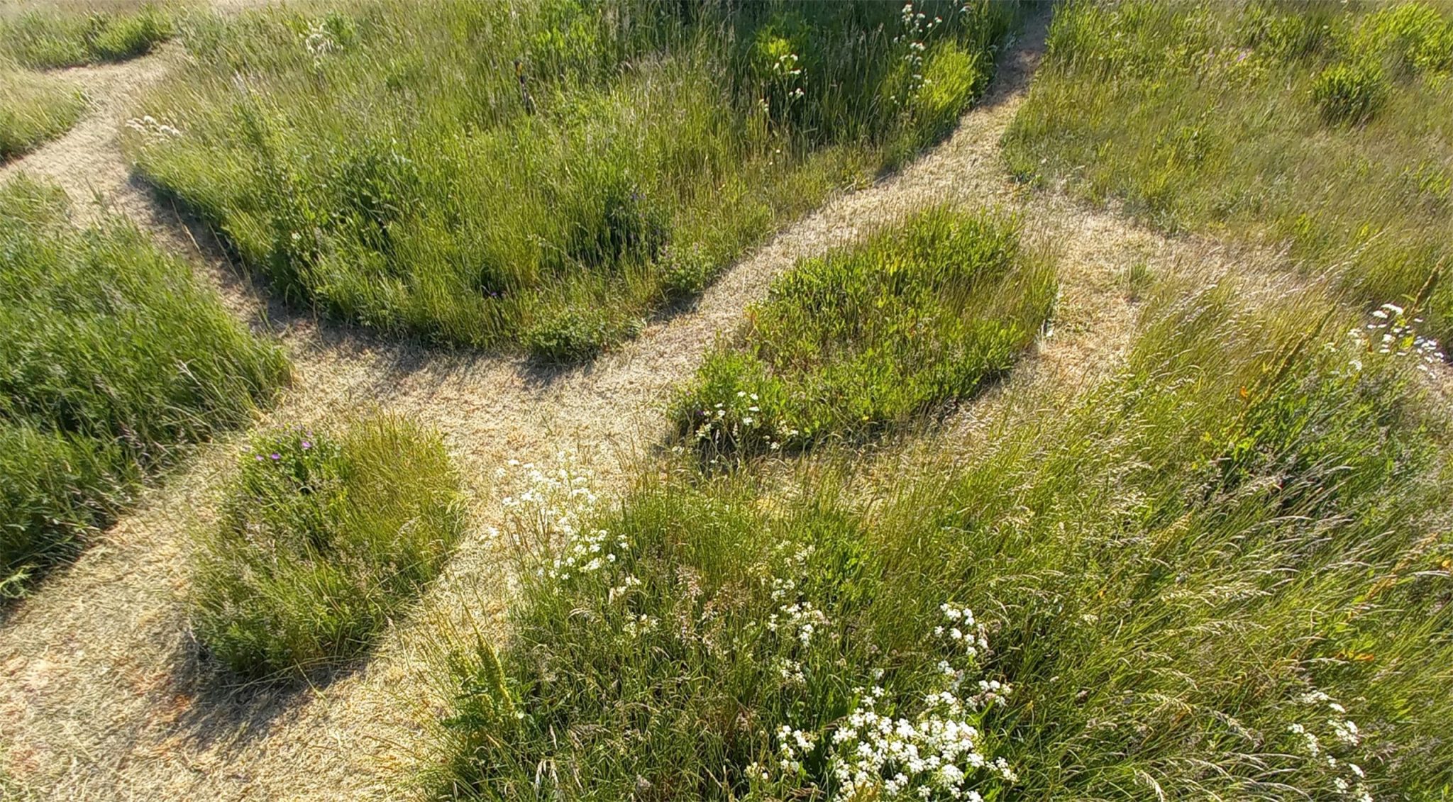 自然的印记 / x-studio – mooool木藕设计网