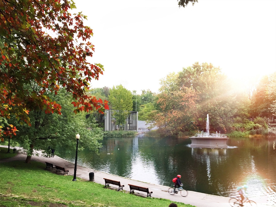 蒙特利尔水上露天剧院，公园里的艺术与文化中心 / Lemay – mooool木藕设计网