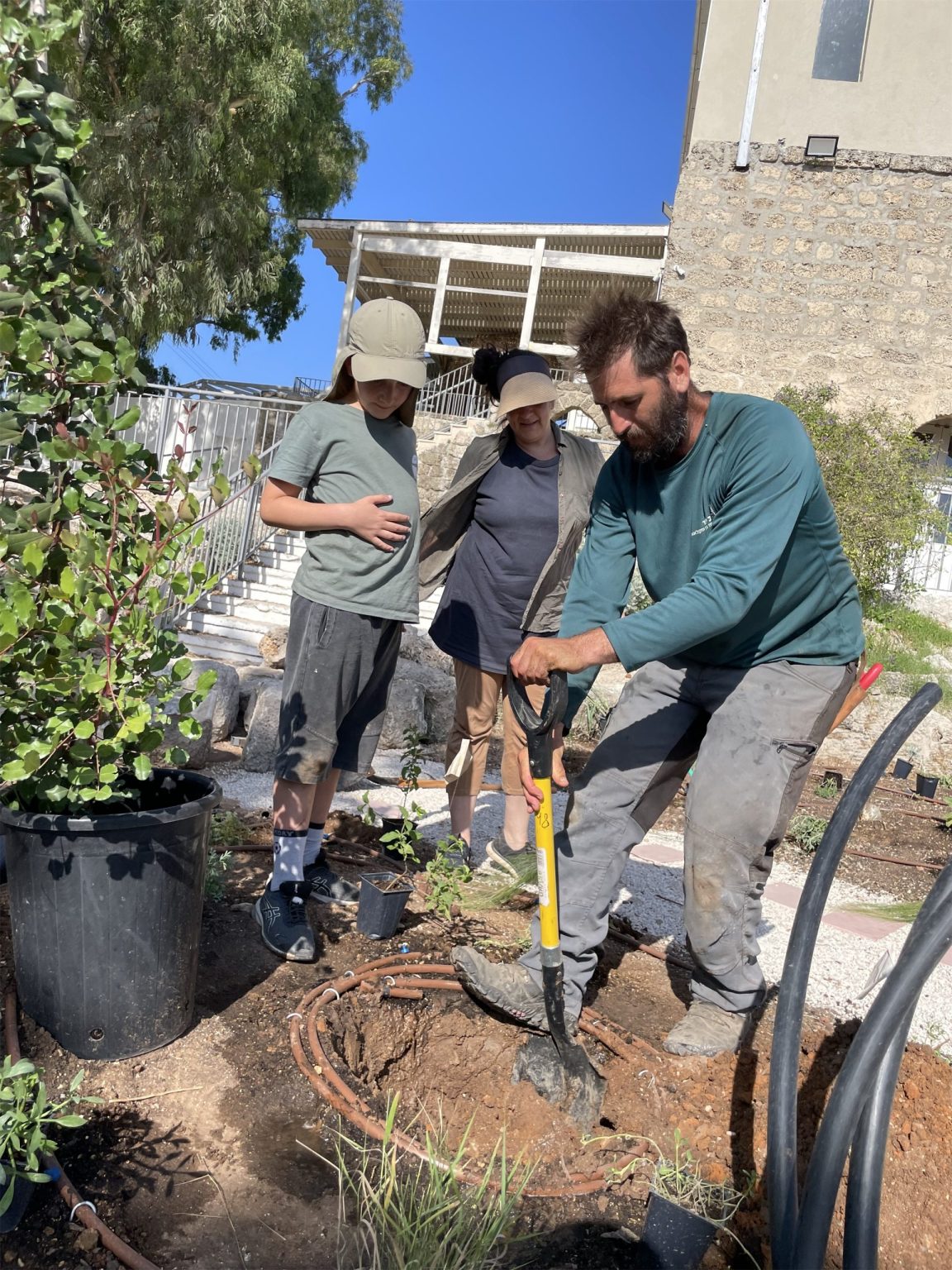 共建的花园 / el.em studio – mooool木藕设计网