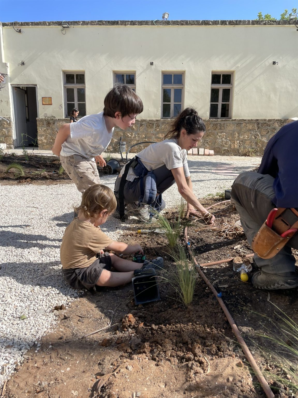 共建的花园 / el.em studio – mooool木藕设计网