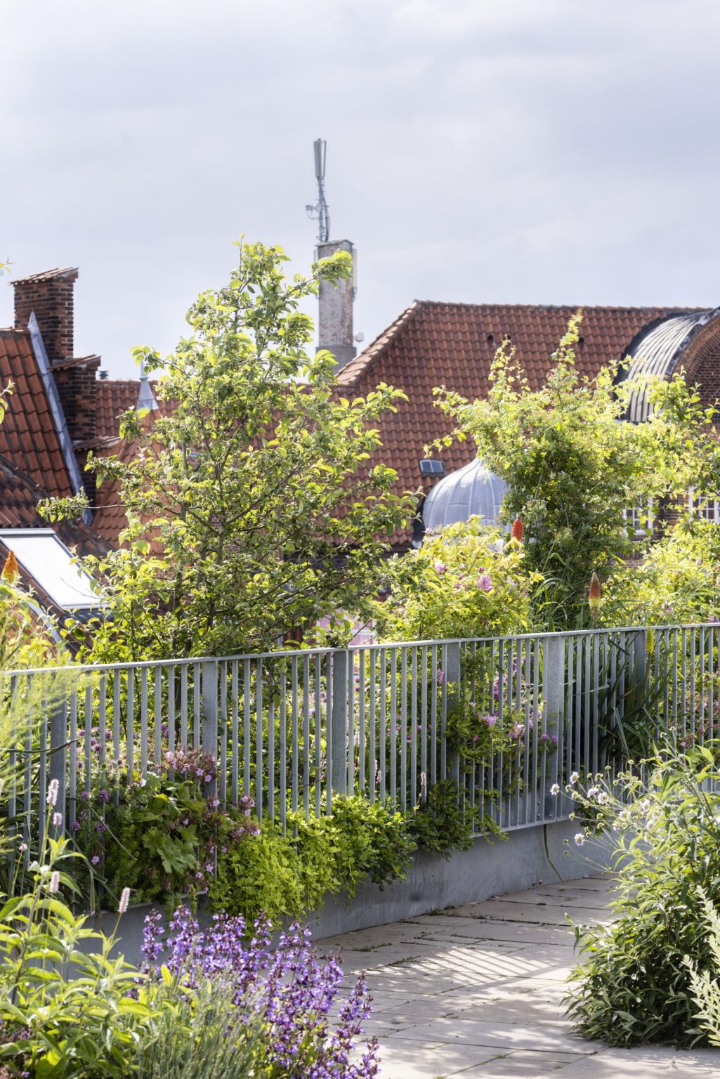 哥本哈根 Ny Østergade 屋顶花园 / 1:1 landskab – mooool木藕设计网