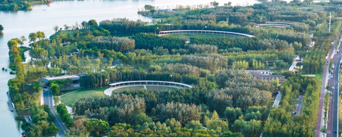 Zhoukou Huaiyang Fuxi Cultural Park by Turenscape – mooool