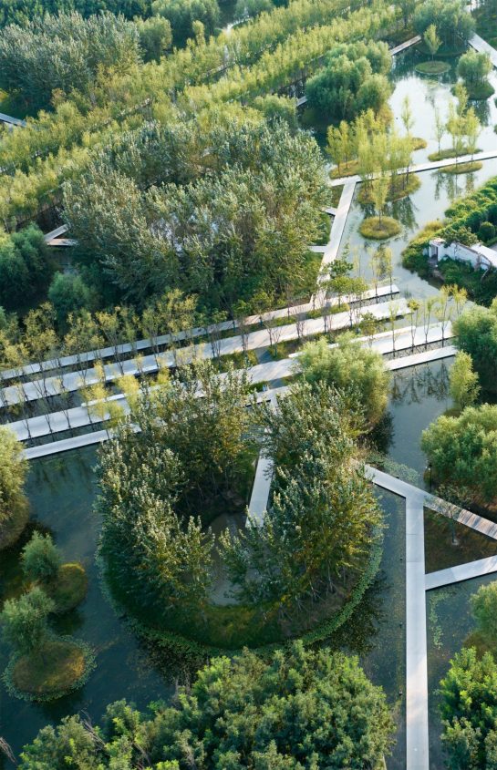 周口淮阳伏羲文化公园 / 土人设计 – mooool木藕设计网