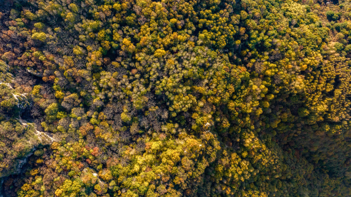 Aranya Jingshanling Central Town Landscape (Shanjing LOFT) by Z’scape – mooool