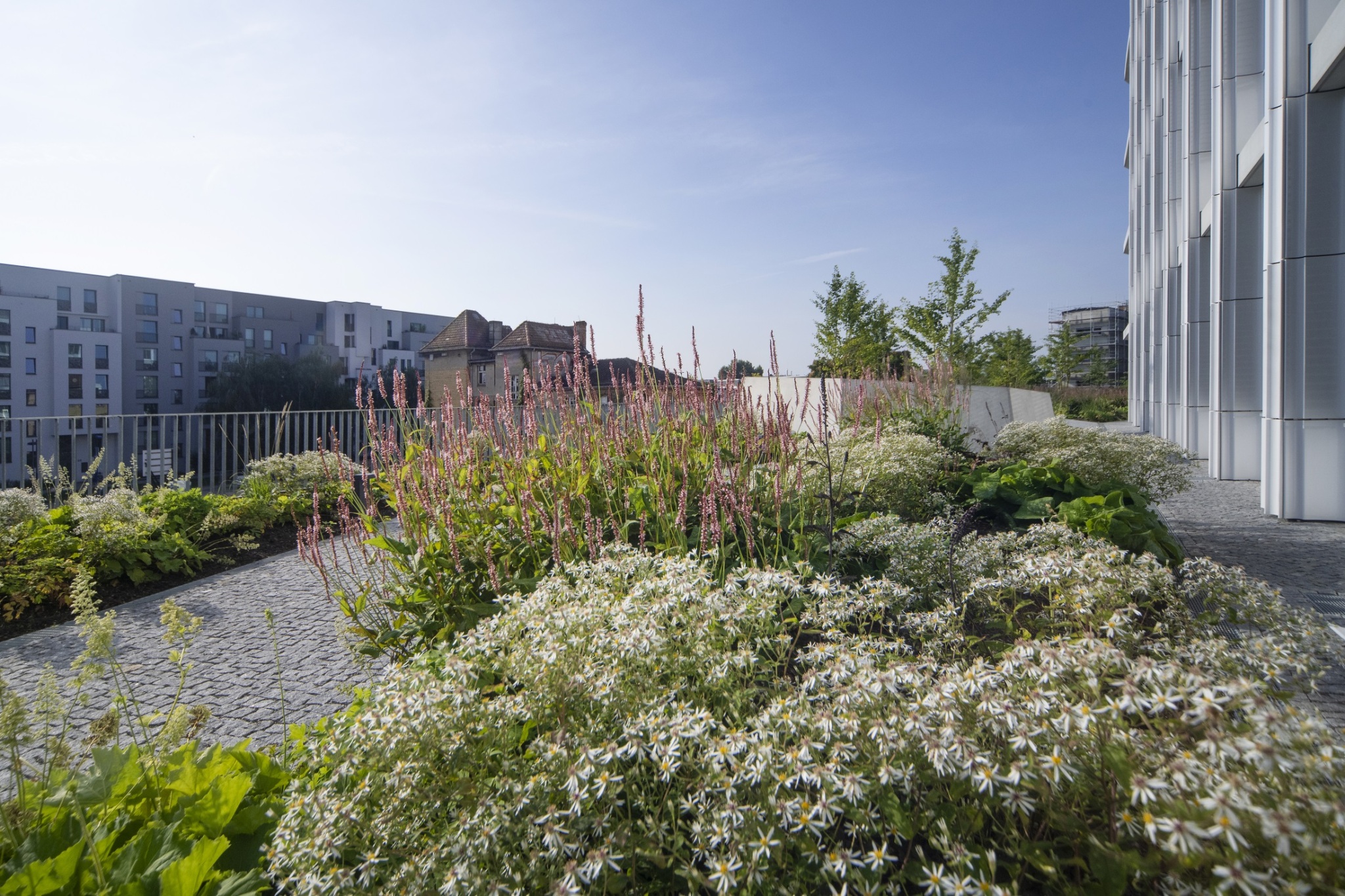 B:HUB Berlin by Topotek 1 – mooool