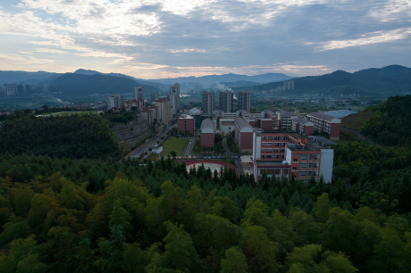 叶脉花园 / 大小景观 – mooool木藕设计网