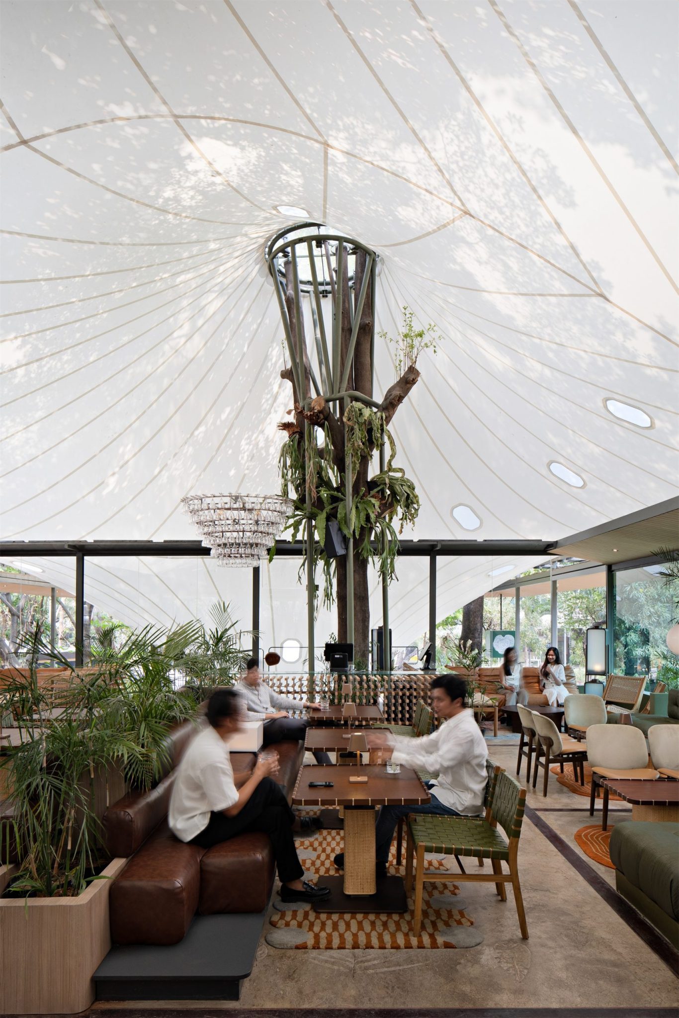 以光影作画 · 印尼「抱树」酒吧 Stalk Tree-hugger / RAD+ar – mooool木藕设计网