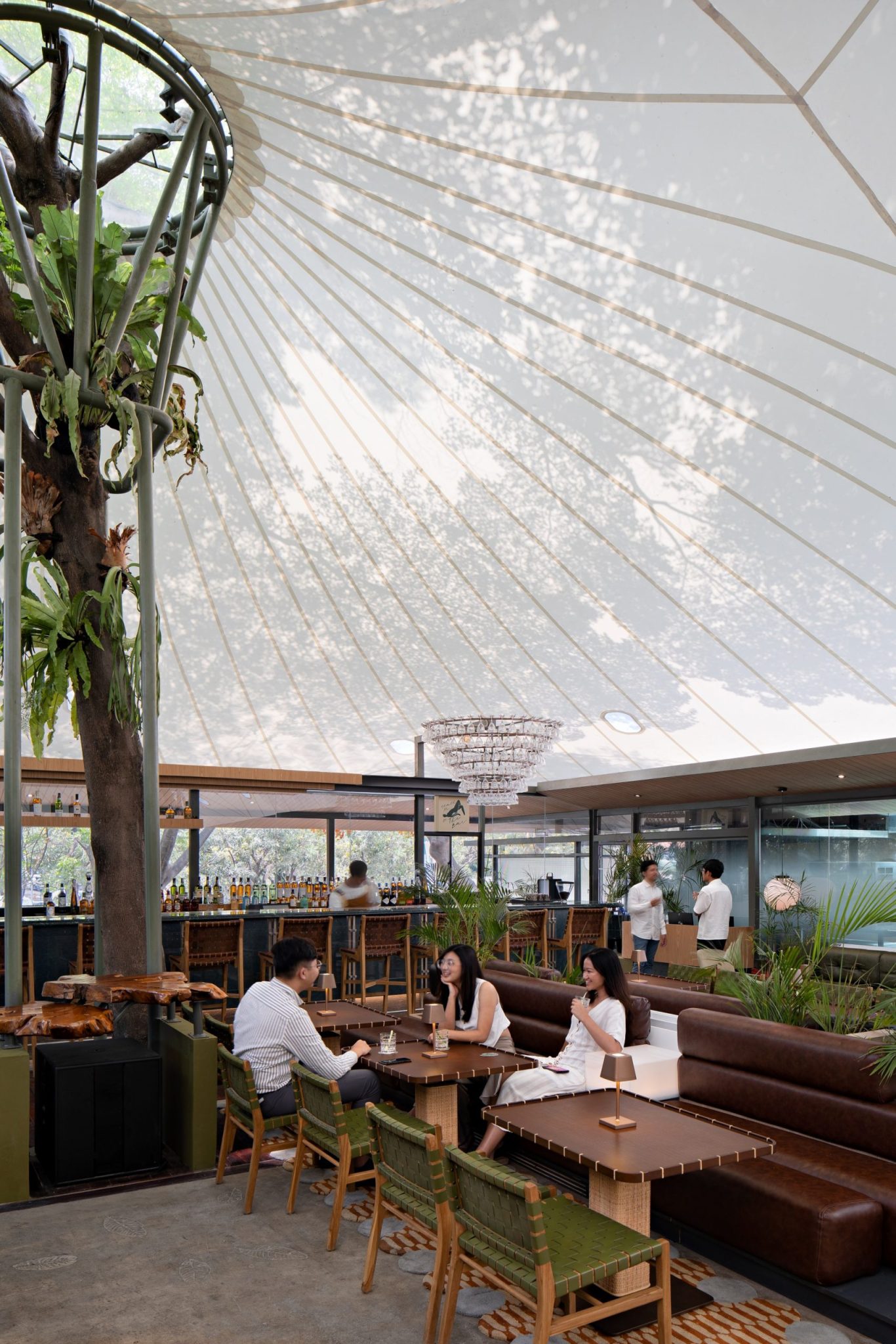 以光影作画 · 印尼「抱树」酒吧 Stalk Tree-hugger / RAD+ar – mooool木藕设计网