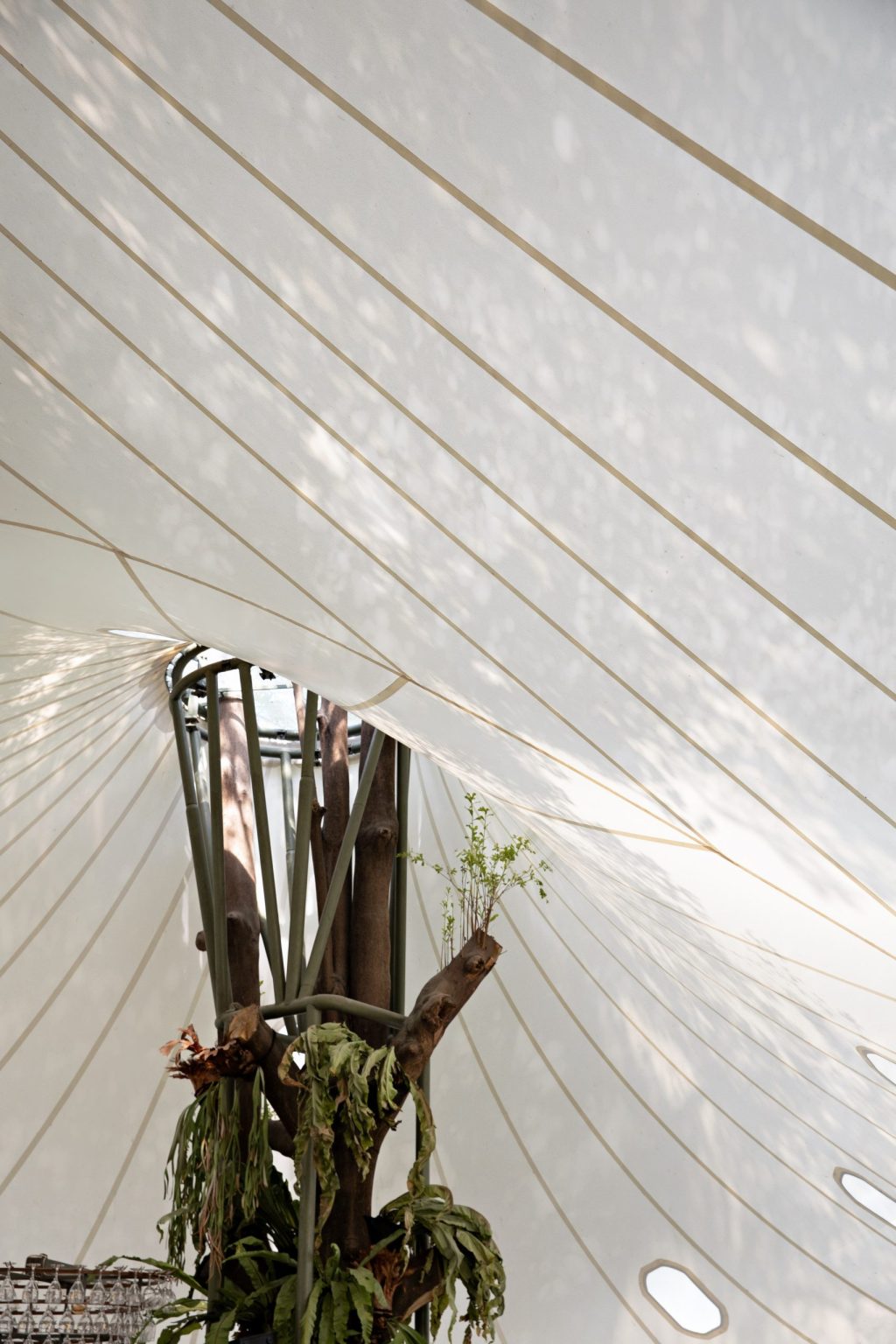 以光影作画 · 印尼「抱树」酒吧 Stalk Tree-hugger / RAD+ar – mooool木藕设计网