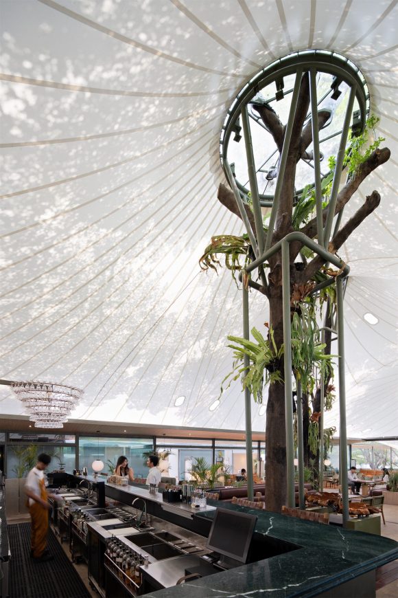 以光影作画 · 印尼「抱树」酒吧 Stalk Tree-hugger / RAD+ar – mooool木藕设计网