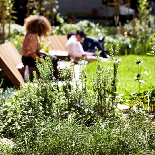 Berry Square by ASPECT Studios – mooool