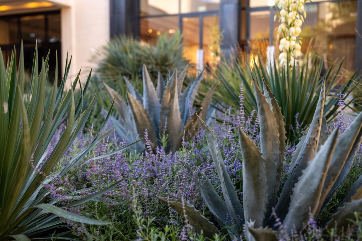 Gucci Garden by Nomad Studio – mooool