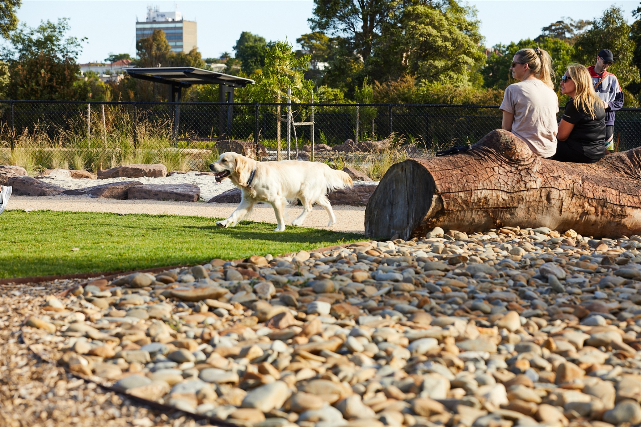 墨尔本中央商务区 · 狗狗公园 / Hansen Partnership – mooool木藕设计网