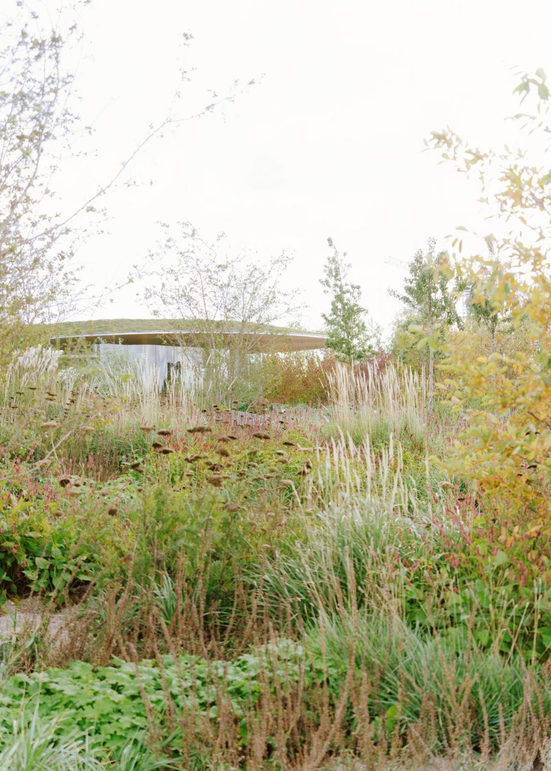 漂浮绿洲 · 哥本哈根歌剧院公园 / Cobe – mooool木藕设计网