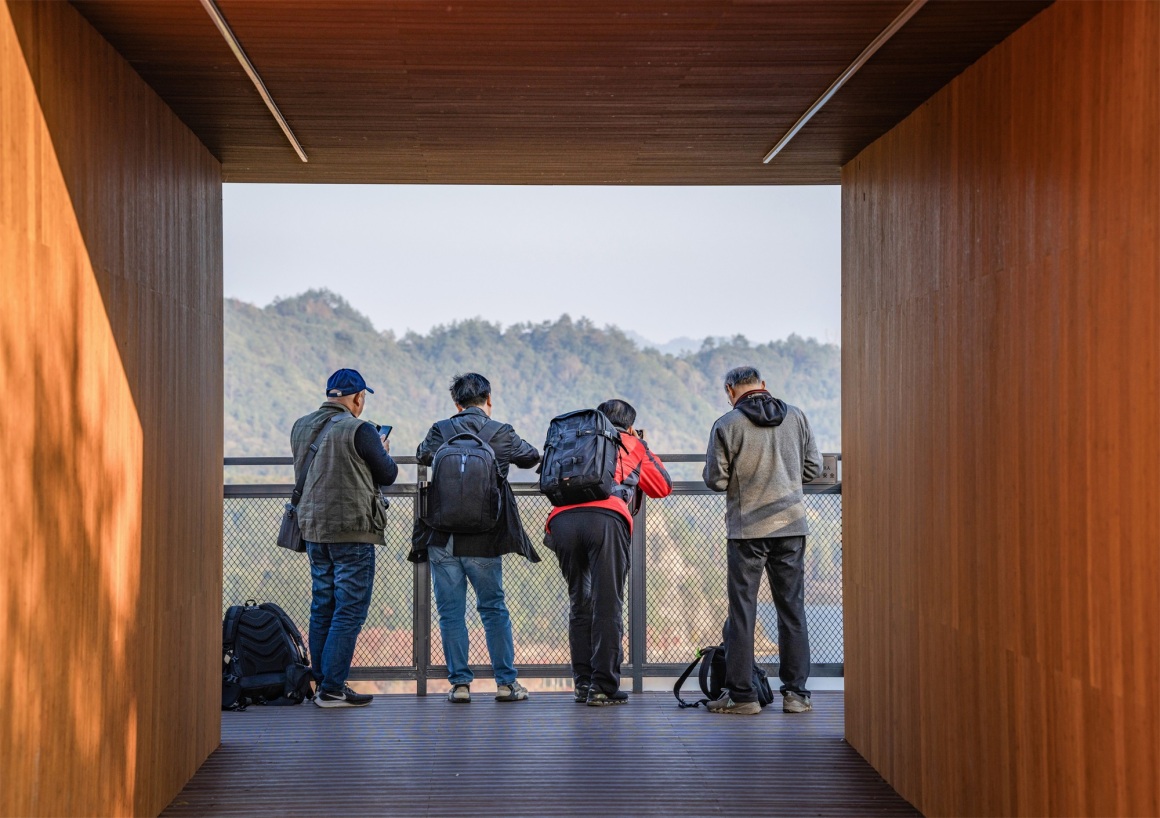 落羽杉湿地公园 | 杉林之上的日光画廊 / MEDG现工设计 – mooool木藕设计网