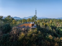 落羽杉湿地公园 | 杉林之上的日光画廊 / MEDG现工设计 – mooool木藕设计网