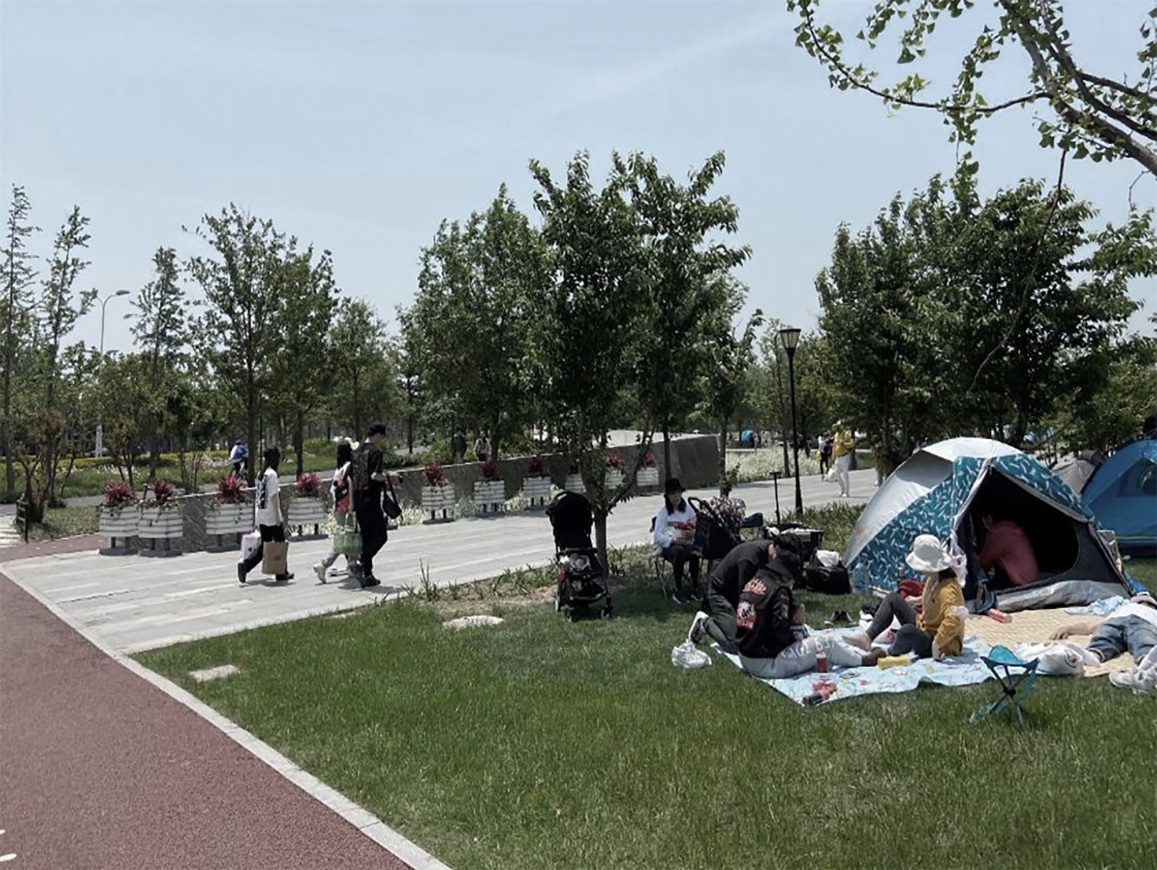 由场地到场景，上海前滩休闲公园改造提升 / MYP迈柏 – mooool木藕设计网