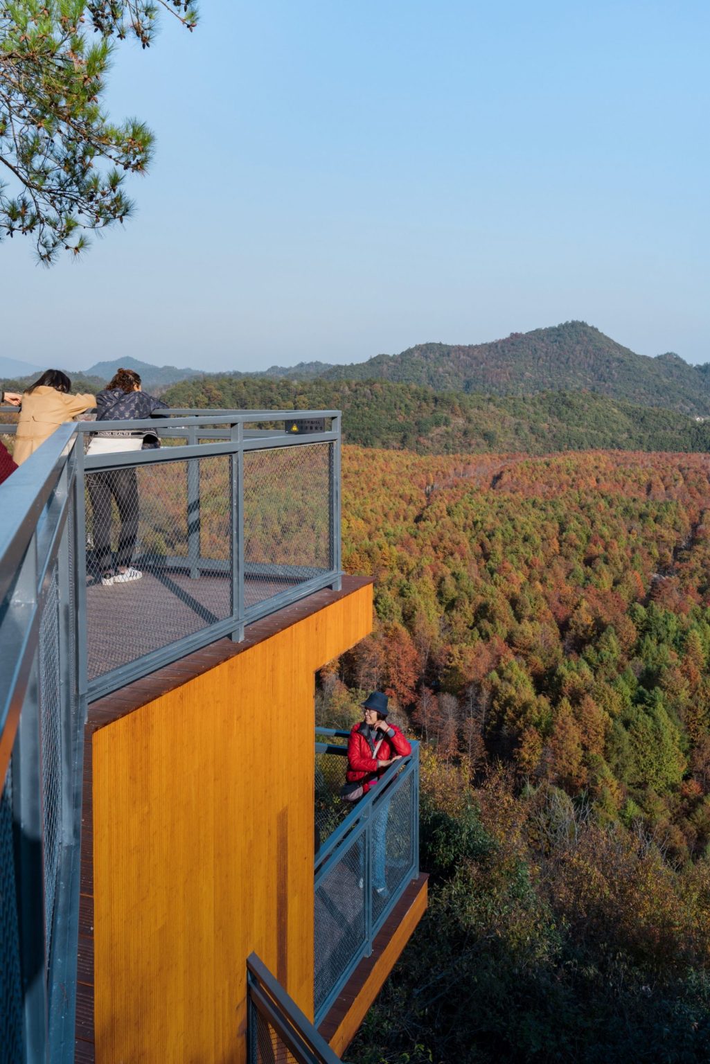 落羽杉湿地公园 | 杉林之上的日光画廊 / MEDG现工设计 – mooool木藕设计网