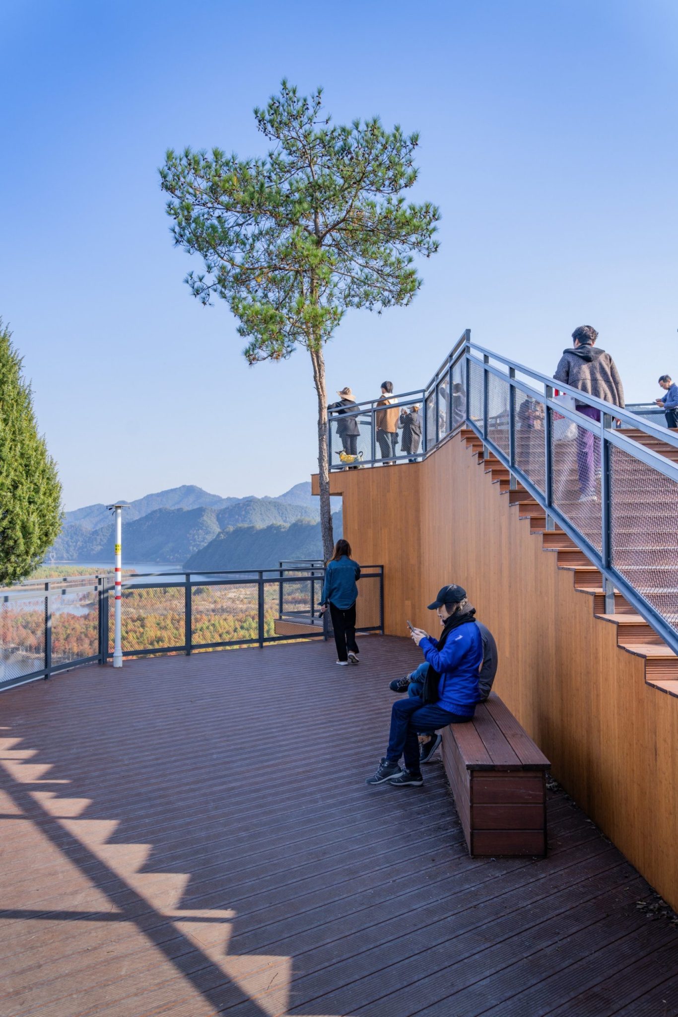 落羽杉湿地公园 | 杉林之上的日光画廊 / MEDG现工设计 – mooool木藕设计网