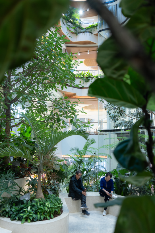 南飞鸿·乐荟中心 / ALN景观规划设计 – mooool木藕设计网