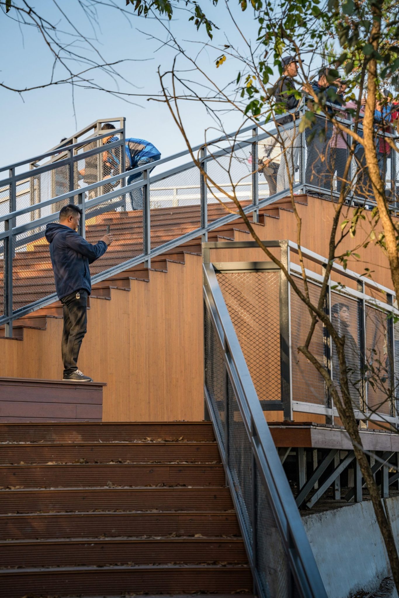 落羽杉湿地公园 | 杉林之上的日光画廊 / MEDG现工设计 – mooool木藕设计网