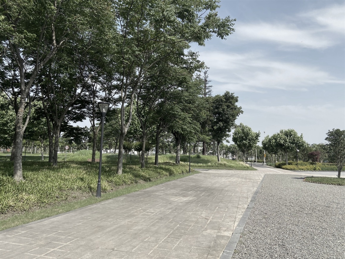 由场地到场景，上海前滩休闲公园改造提升 / MYP迈柏 – mooool木藕设计网