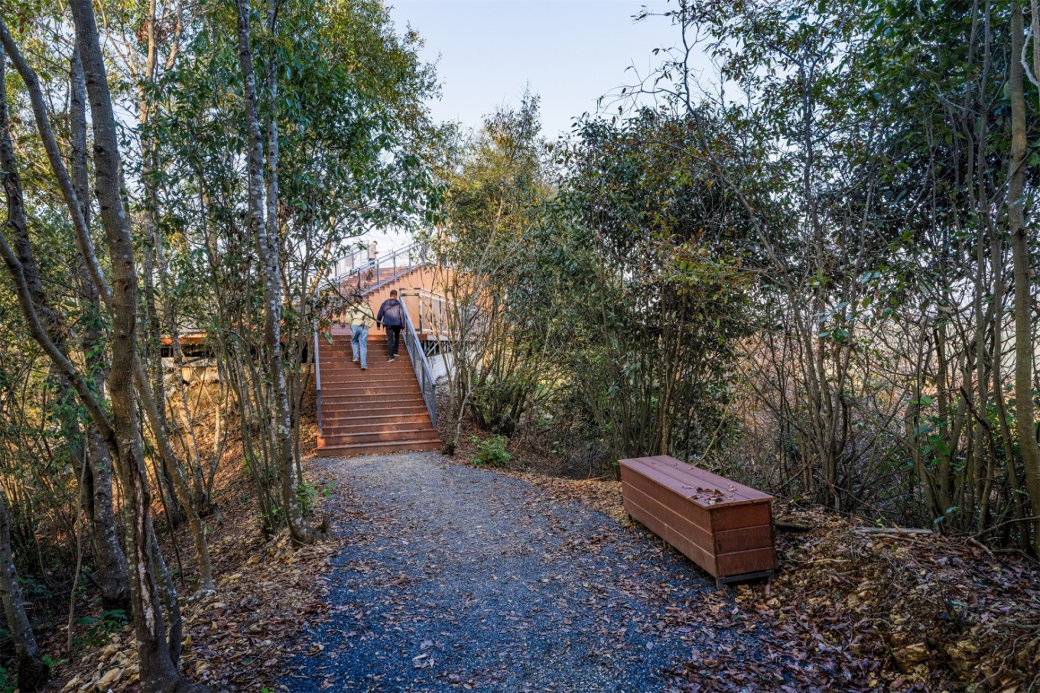 落羽杉湿地公园 | 杉林之上的日光画廊 / MEDG现工设计 – mooool木藕设计网