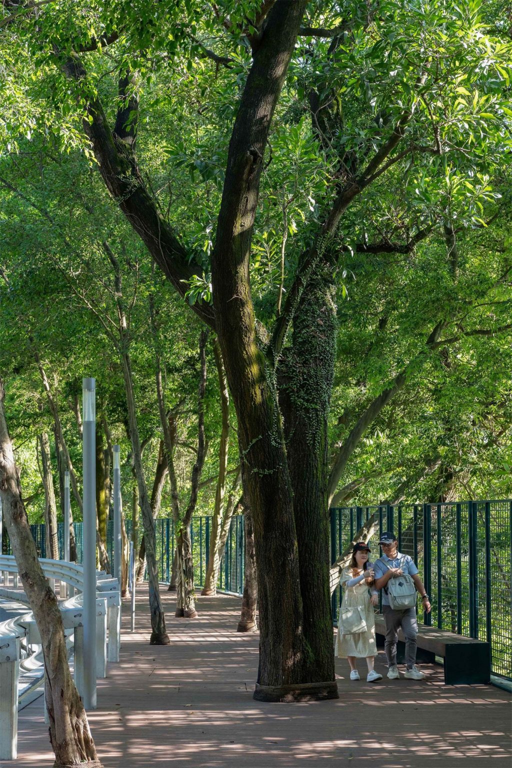 Xili Lake Greenway (Phase I) Demonstration Section,Nanshan District ...
