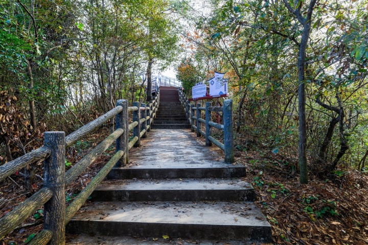 落羽杉湿地公园 | 杉林之上的日光画廊 / MEDG现工设计 – mooool木藕设计网