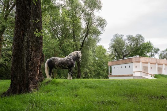 Hotel complex Kudykina Gora by megabudka – mooool