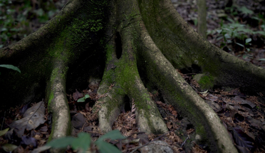 The collection of representative projects for 2023, a tribute to the designers | Mooool ...