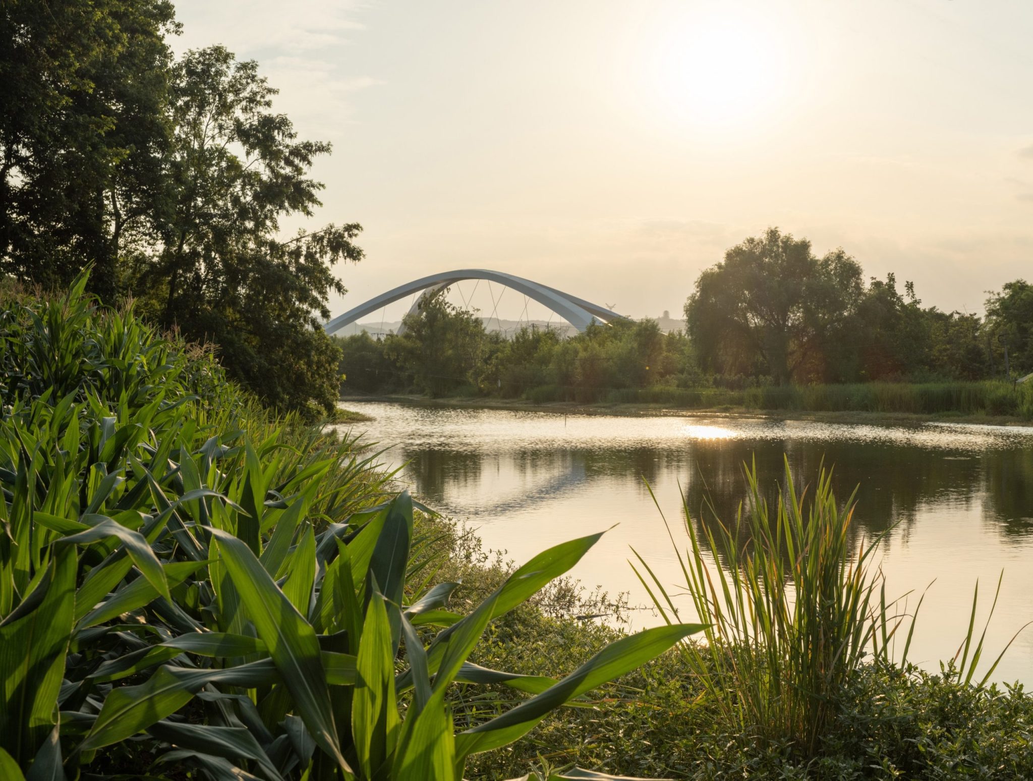 Chengdu West Line Cross-JiangXi River Bridge by Zaha Hadid Architects ...