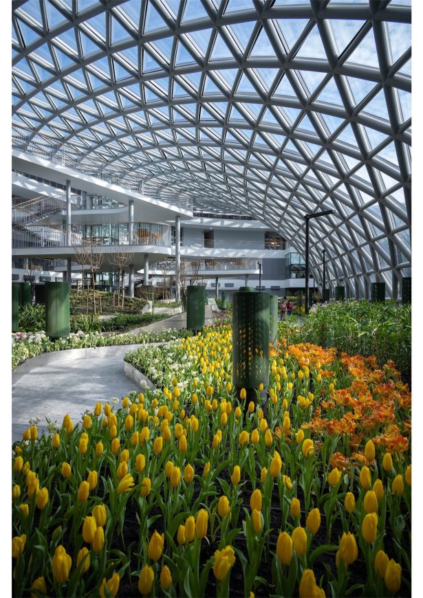 泰国 PTT 液化天然气接收站景观设计 / TK Studio – mooool木藕设计网