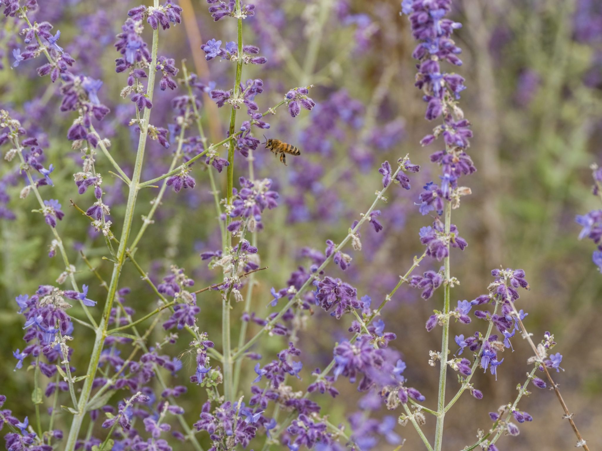 丹麦新能源汽车充电公园 / EFFEKT – mooool木藕设计网