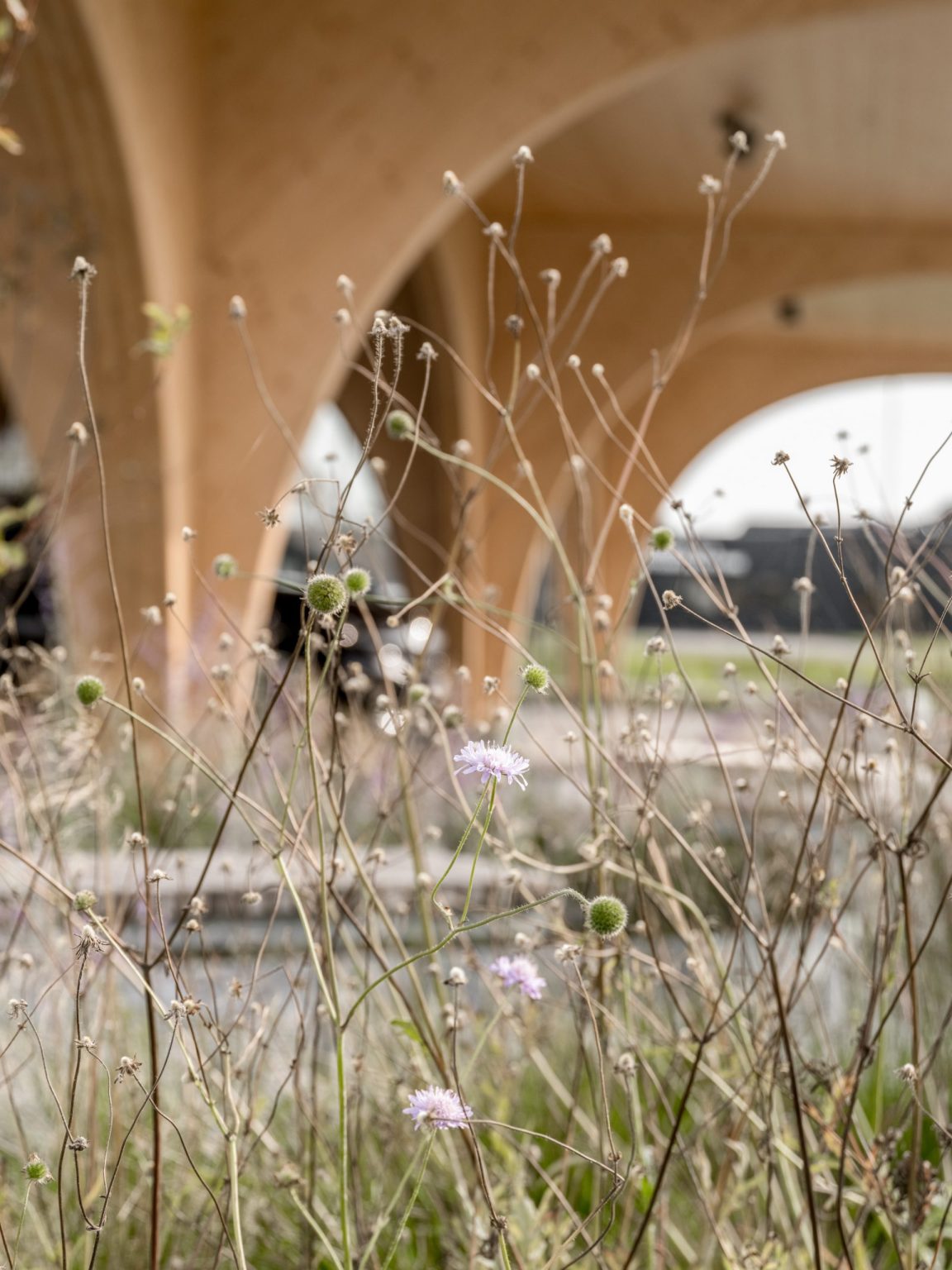 丹麦新能源汽车充电公园 / EFFEKT – mooool木藕设计网