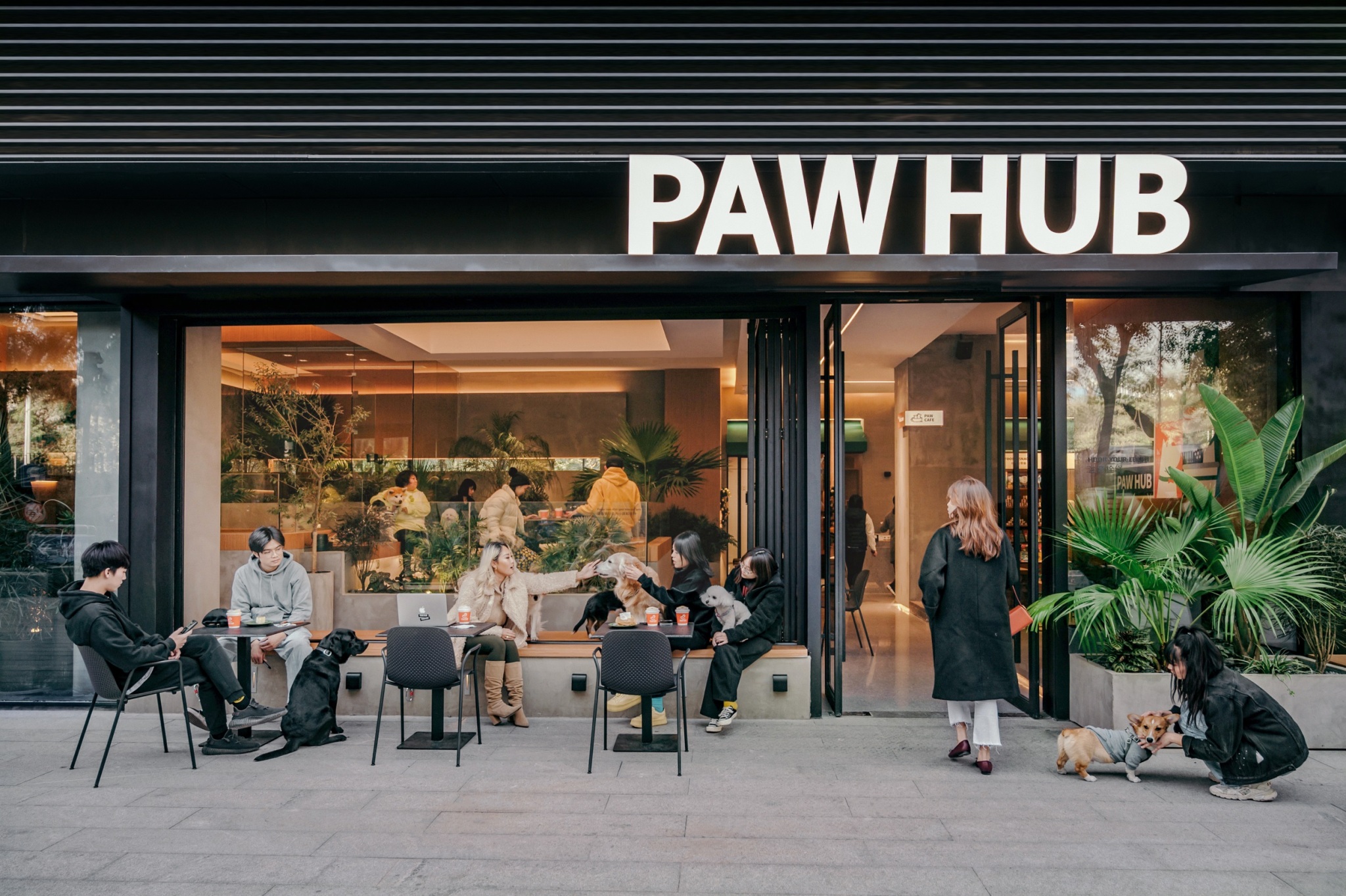 PAW HUB｜创造一个社区，让宠物家庭成为可能 / Informal 异规设计 – mooool木藕设计网