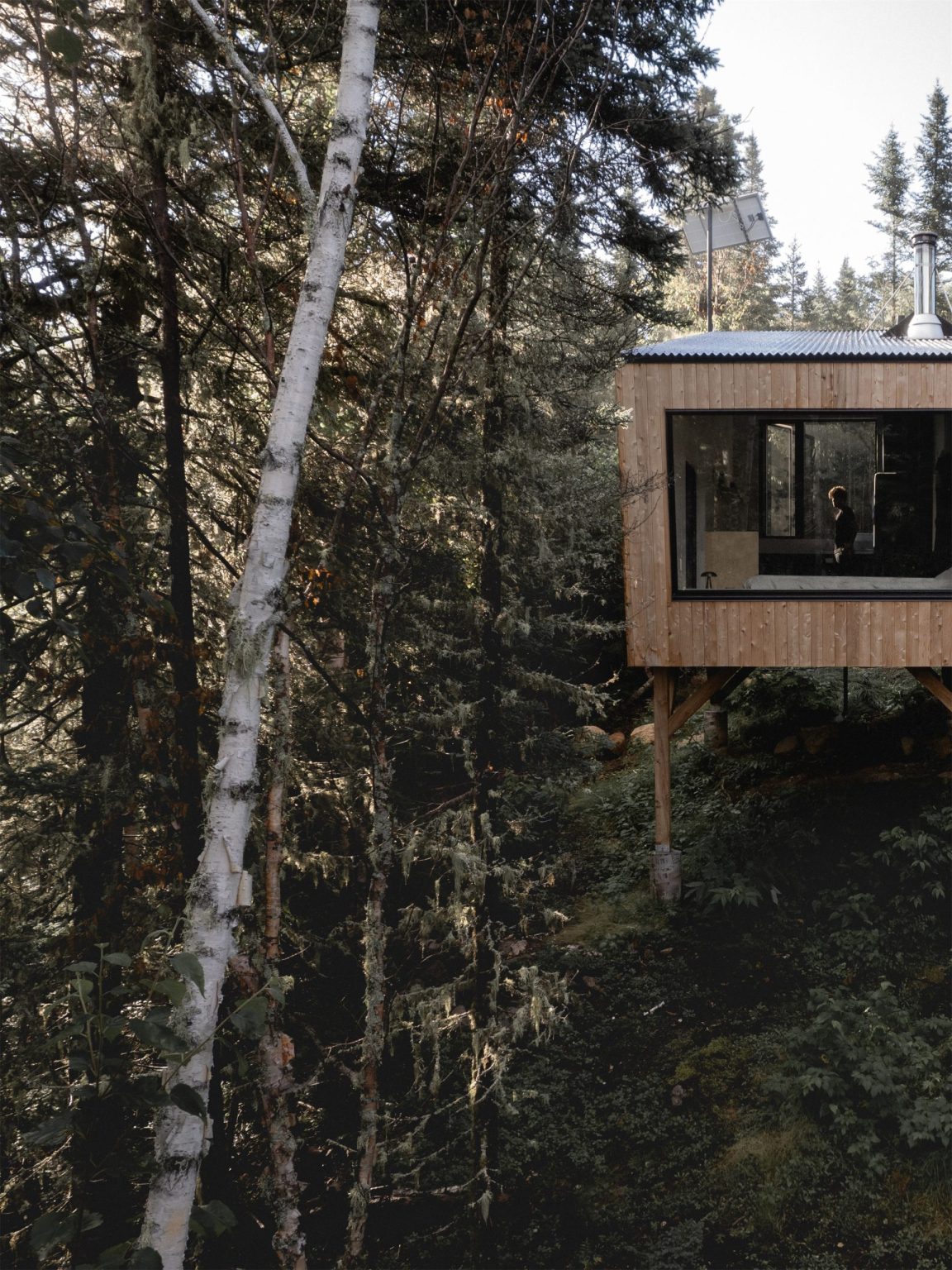 自然取景器 · 森林中的庇护所 / Atelier L’Abri – mooool木藕设计网