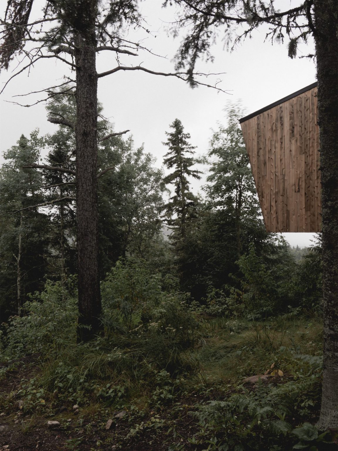 自然取景器 · 森林中的庇护所 / Atelier L’Abri – mooool木藕设计网