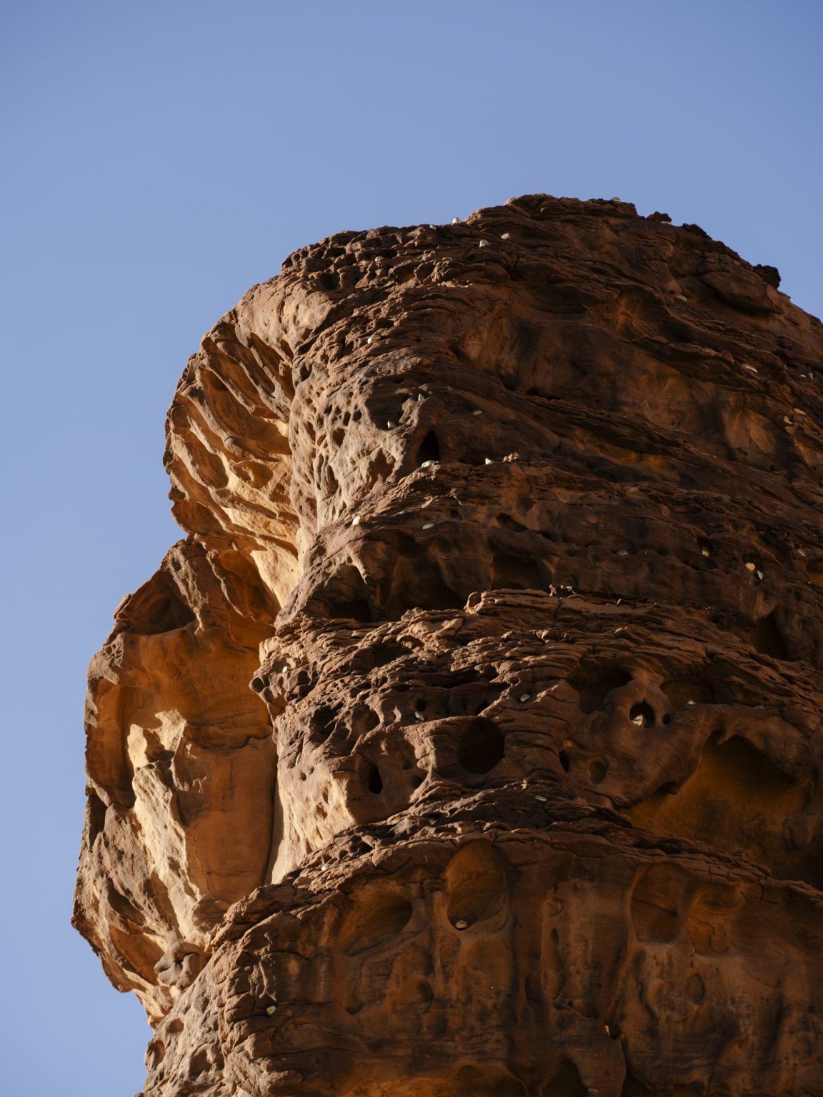 Desert X AlUla 2024 under the theme of In the Presence Of Absence – mooool