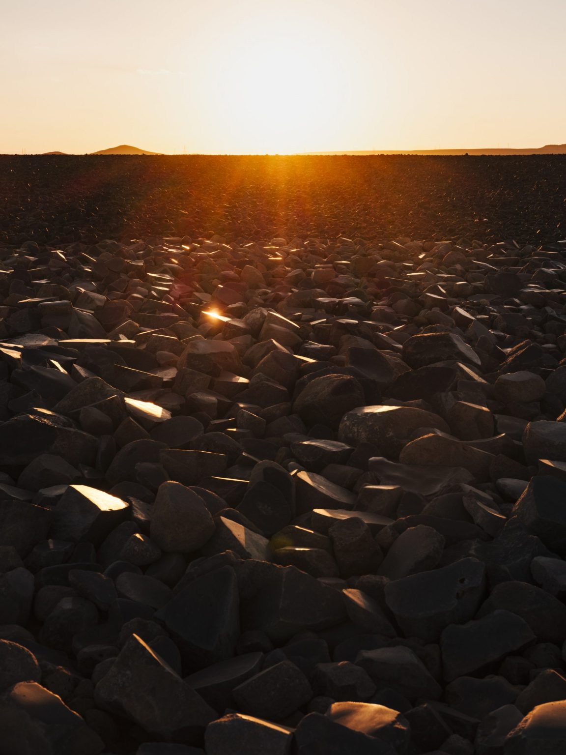 Desert X AlUla 2024 under the theme of In the Presence Of Absence – mooool