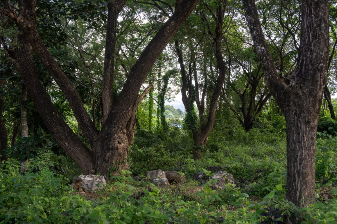 Jomthong Raintree House by Sher Maker – mooool