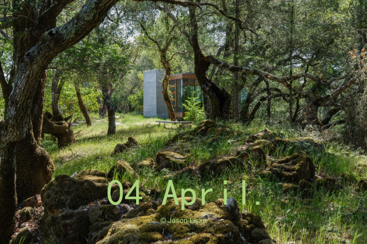 A collection of domestic and foreign firms reported in April 2024 – mooool